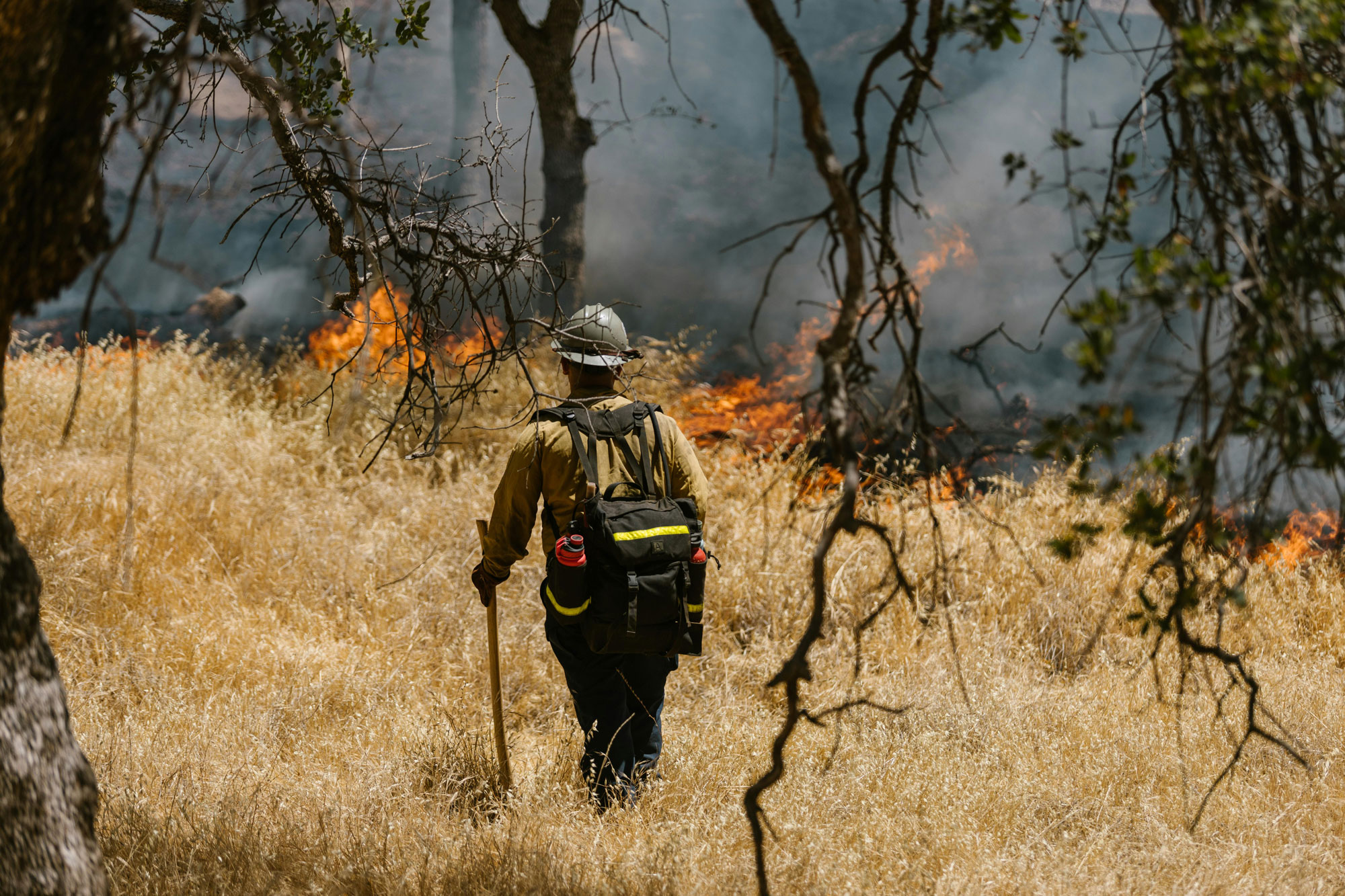 PROTECT - Central California Asthma Collaborative